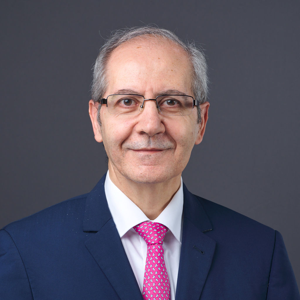 IP professionals - BDL