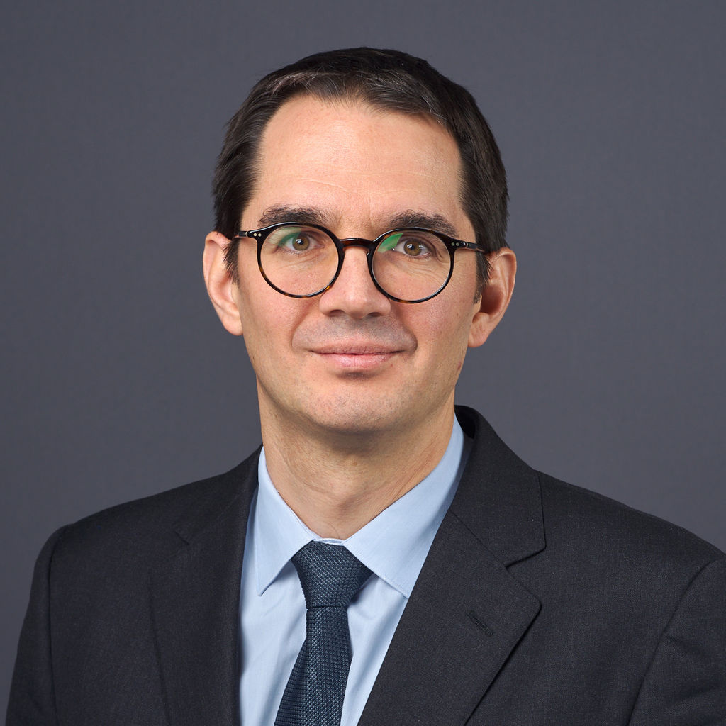 IP professionals - BDL