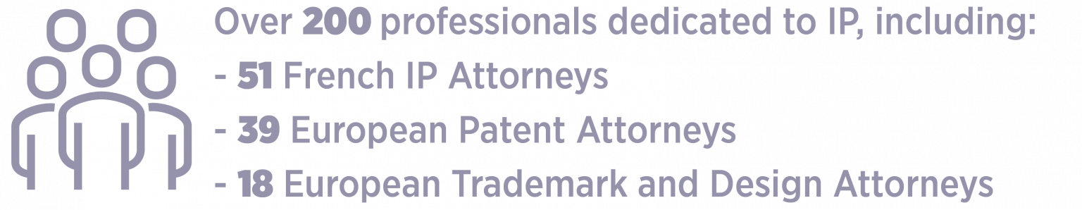 IP professionals - BDL