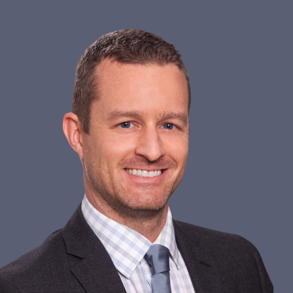 IP professionals - BDL